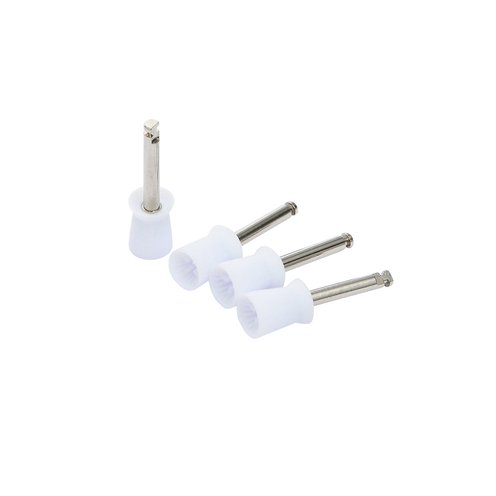 Prophy Cups (100x) – Sprint Dental Supplies